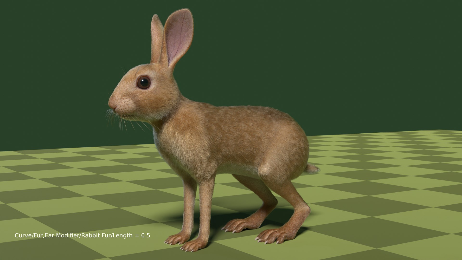 3D Model Japanese Hare - TurboSquid 2110061
