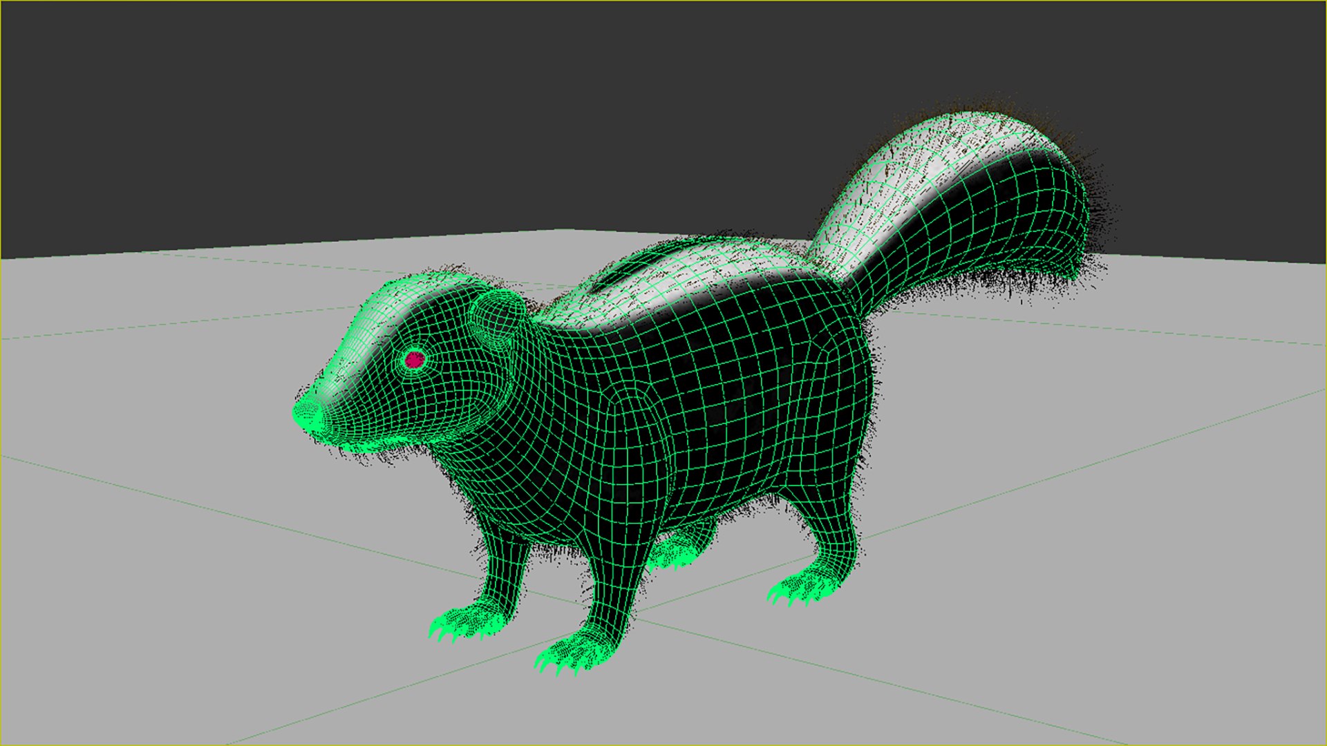 Skunk Animal 3d Model 3D Model - TurboSquid 1879886