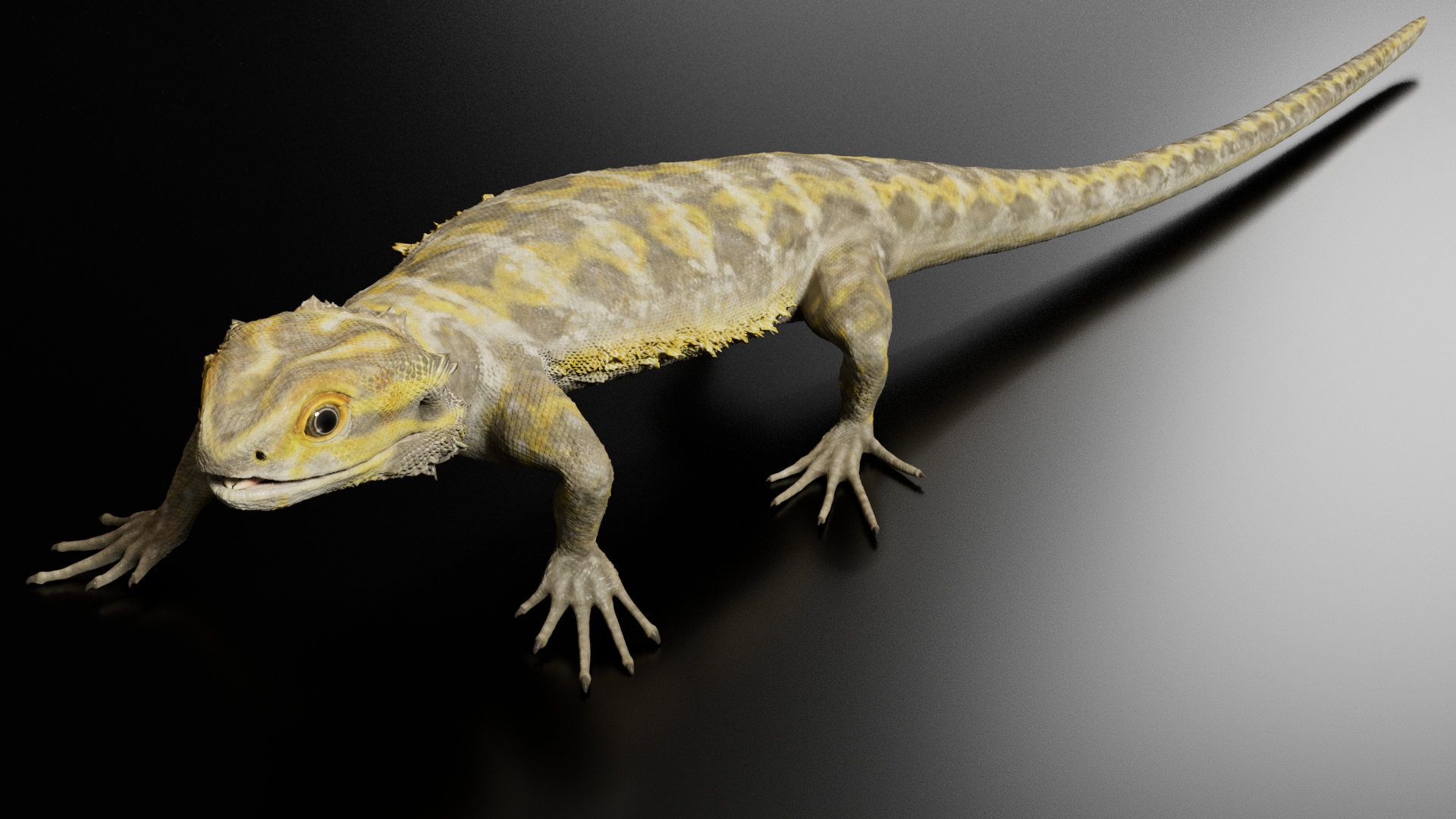 3D Bearded Dragon Rigged Animated - TurboSquid 2039643