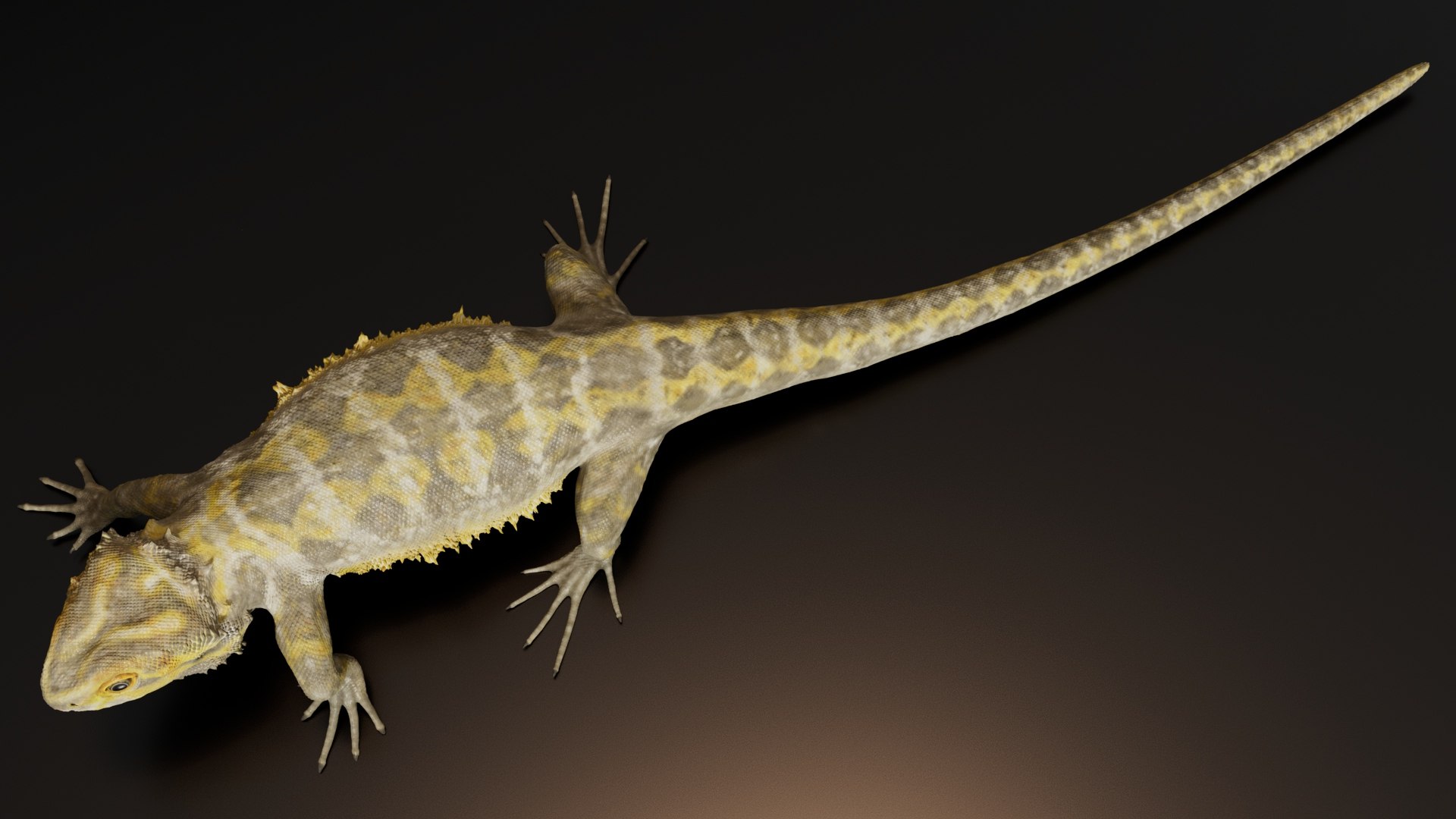 3D Bearded Dragon Rigged Animated - TurboSquid 2039643