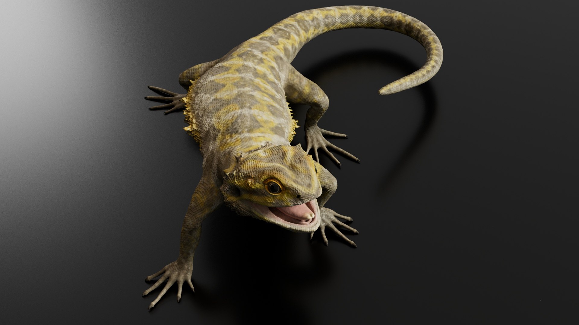 3D Bearded Dragon Rigged Animated - TurboSquid 2039643