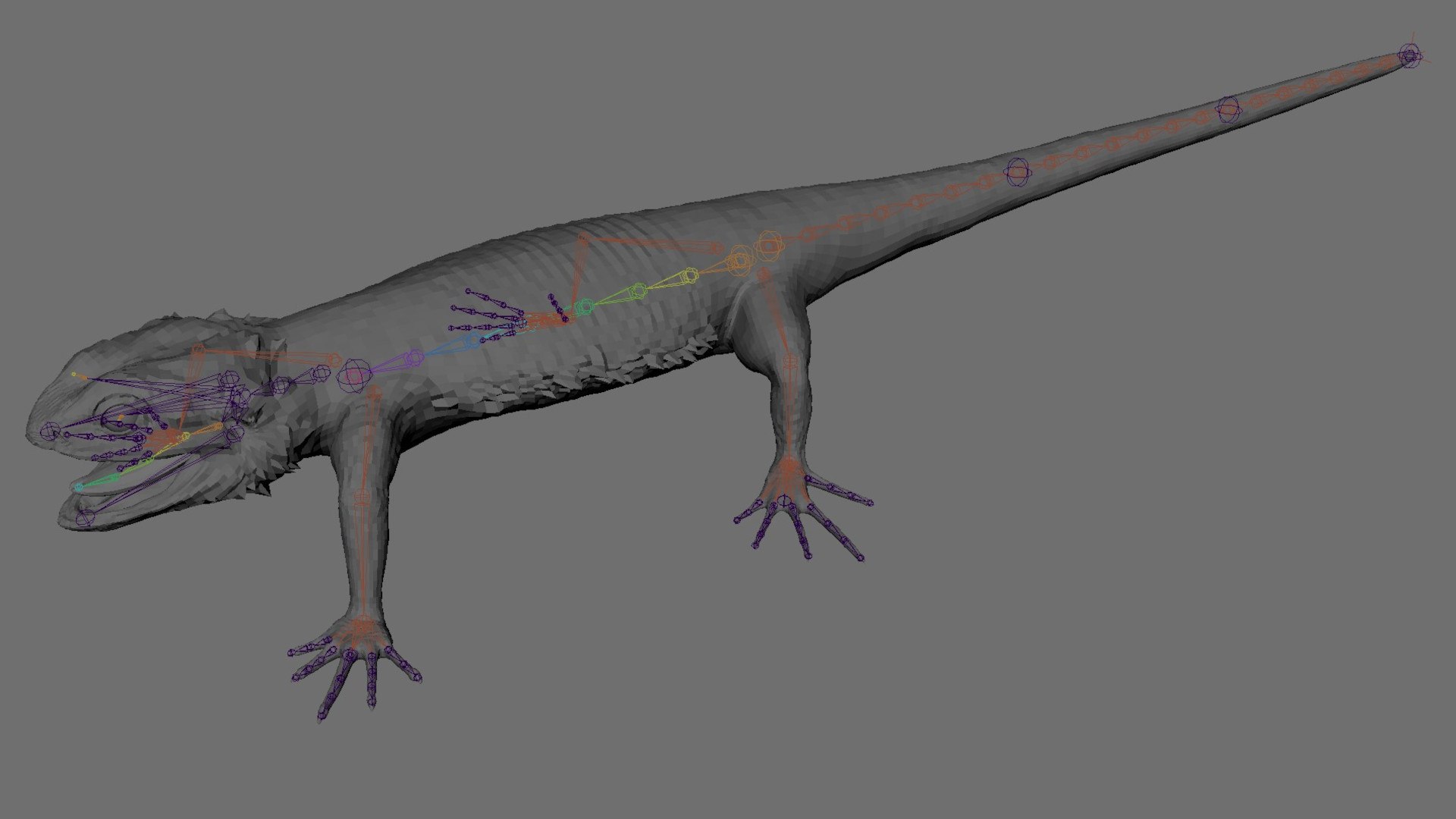 3D Bearded Dragon Rigged Animated - TurboSquid 2039643