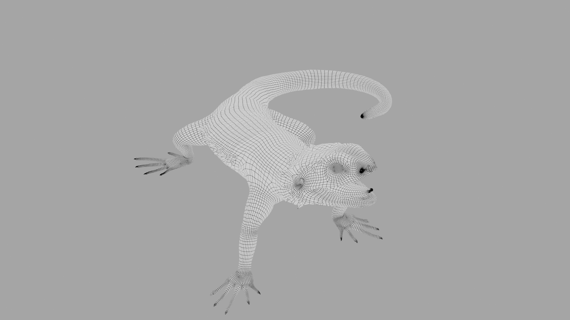 3D Bearded Dragon Rigged Animated - TurboSquid 2039643