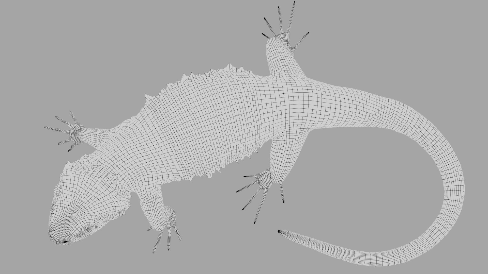 3D Bearded Dragon Rigged Animated - TurboSquid 2039643