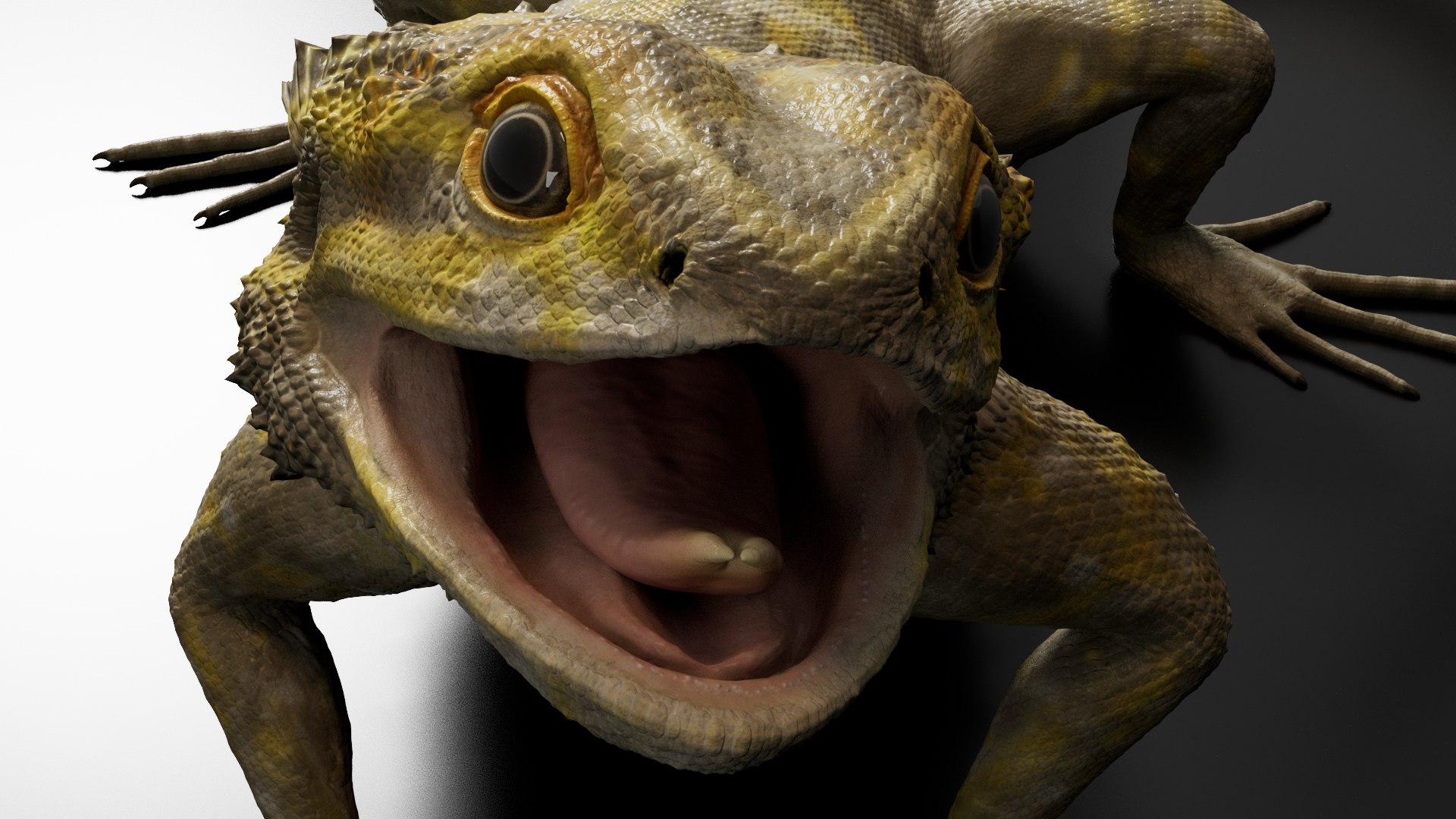 3D Bearded Dragon Rigged Animated - TurboSquid 2039643