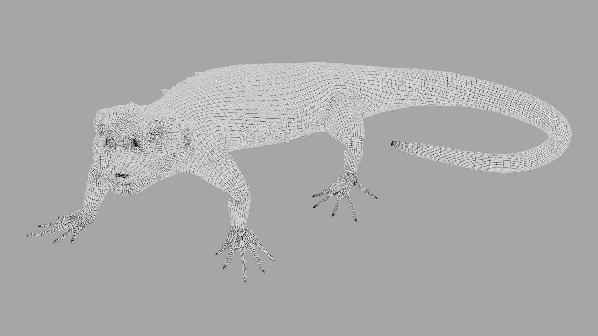 3D Bearded Dragon Rigged Animated - TurboSquid 2039643