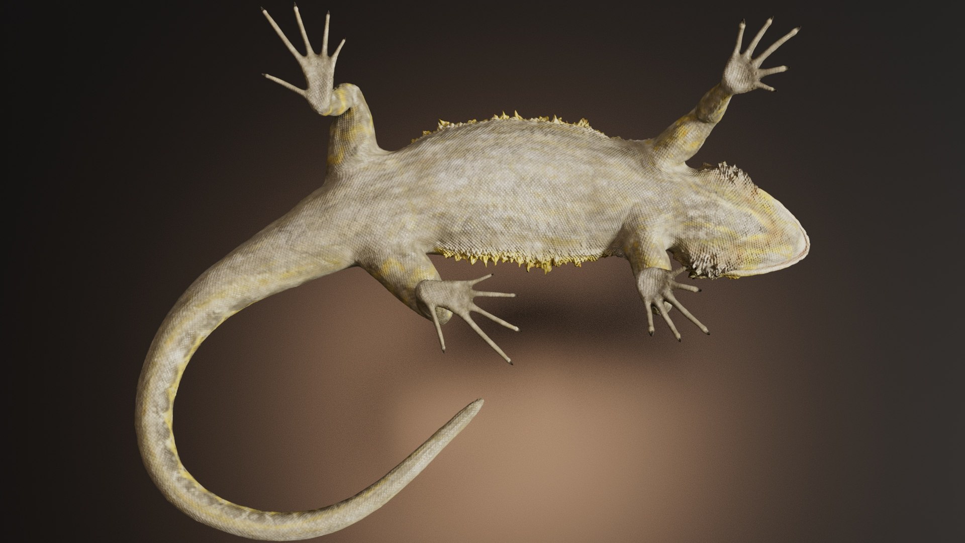 3D Bearded Dragon Rigged Animated - TurboSquid 2039643