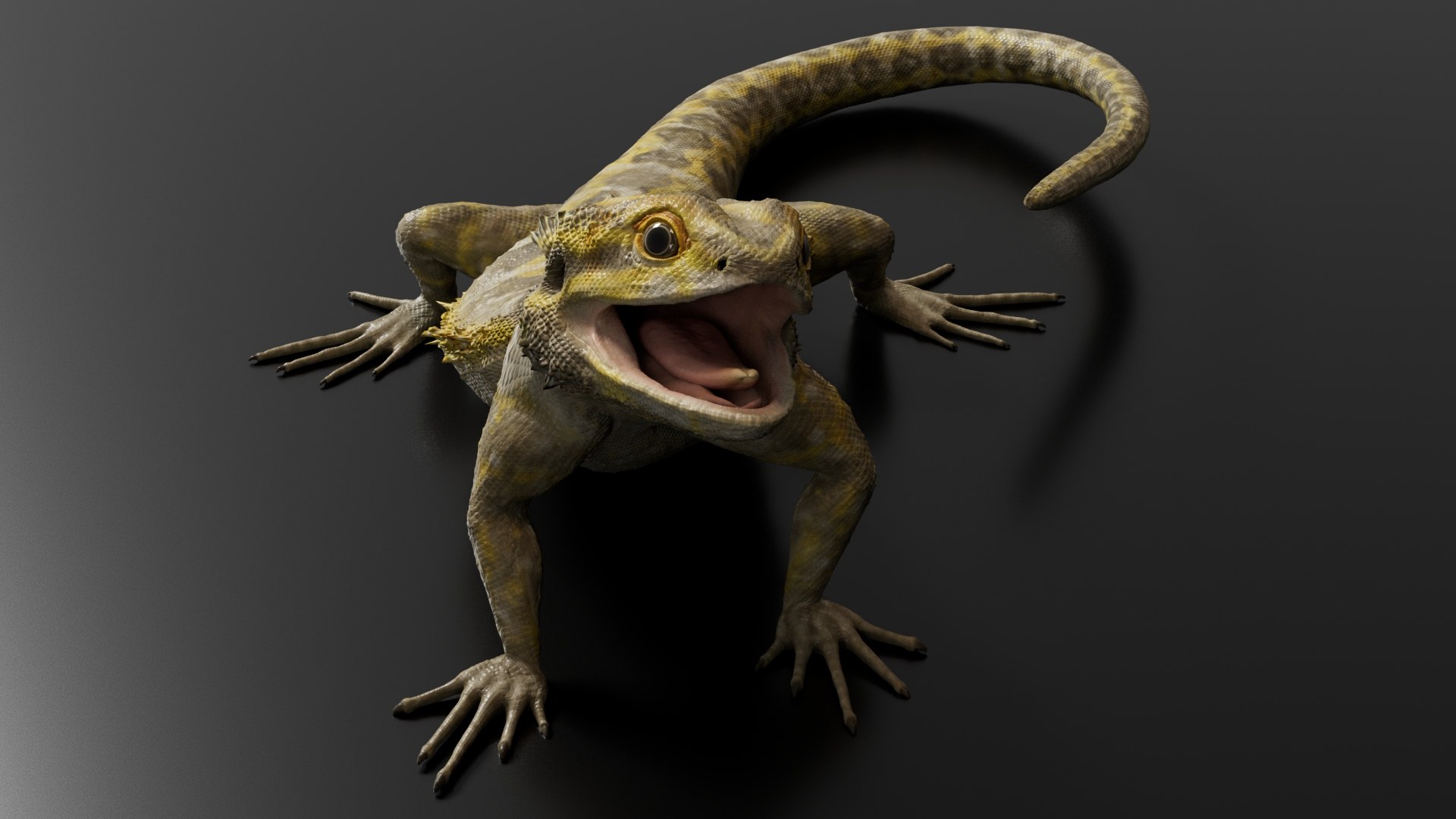 3D Bearded Dragon Rigged Animated - TurboSquid 2039643