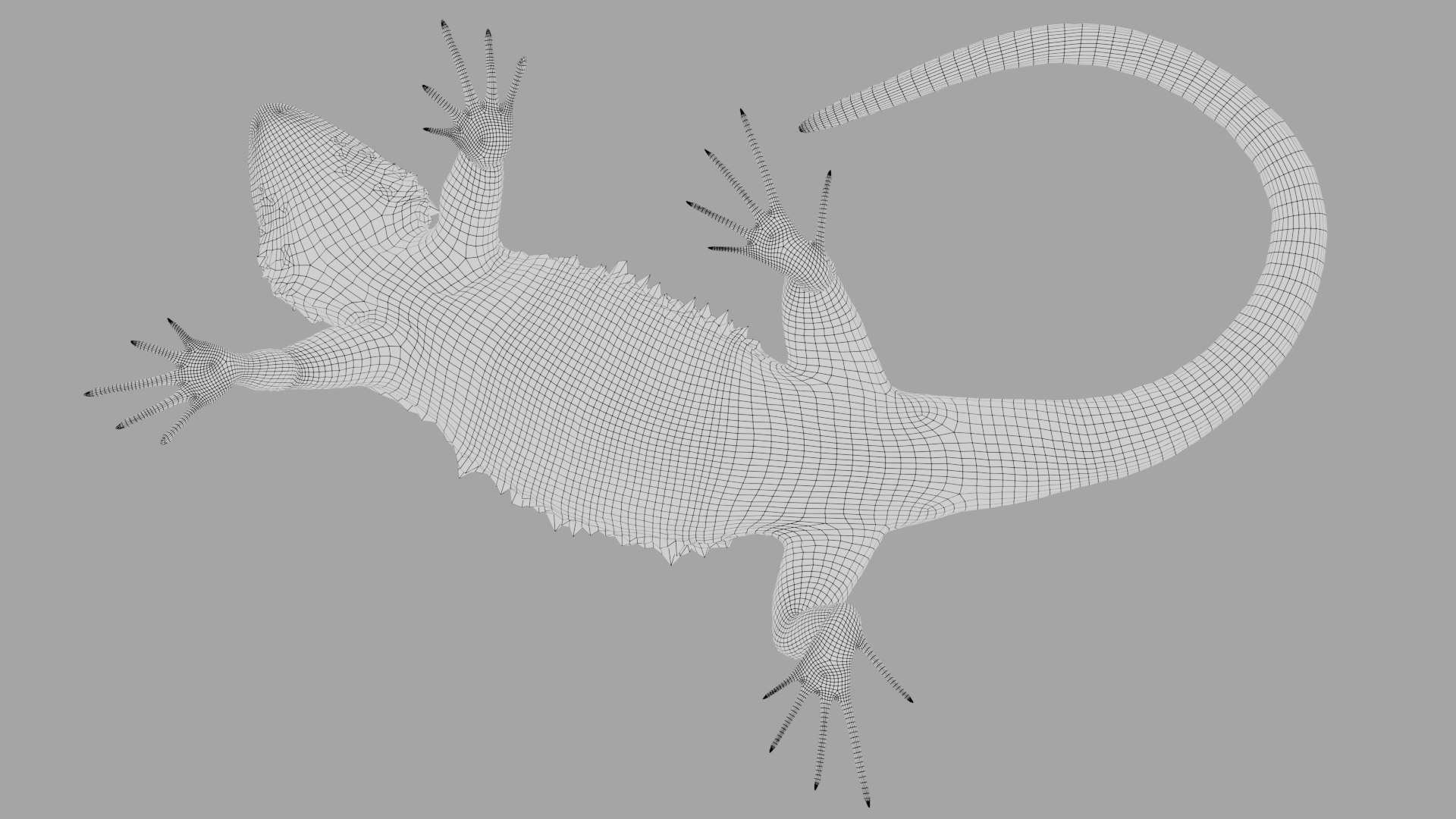 3D Bearded Dragon Rigged Animated - TurboSquid 2039643