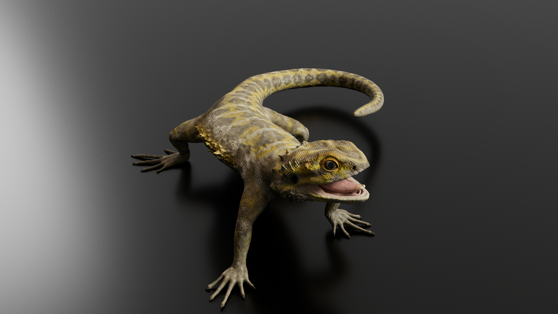 3D Bearded Dragon Rigged Animated - TurboSquid 2039643