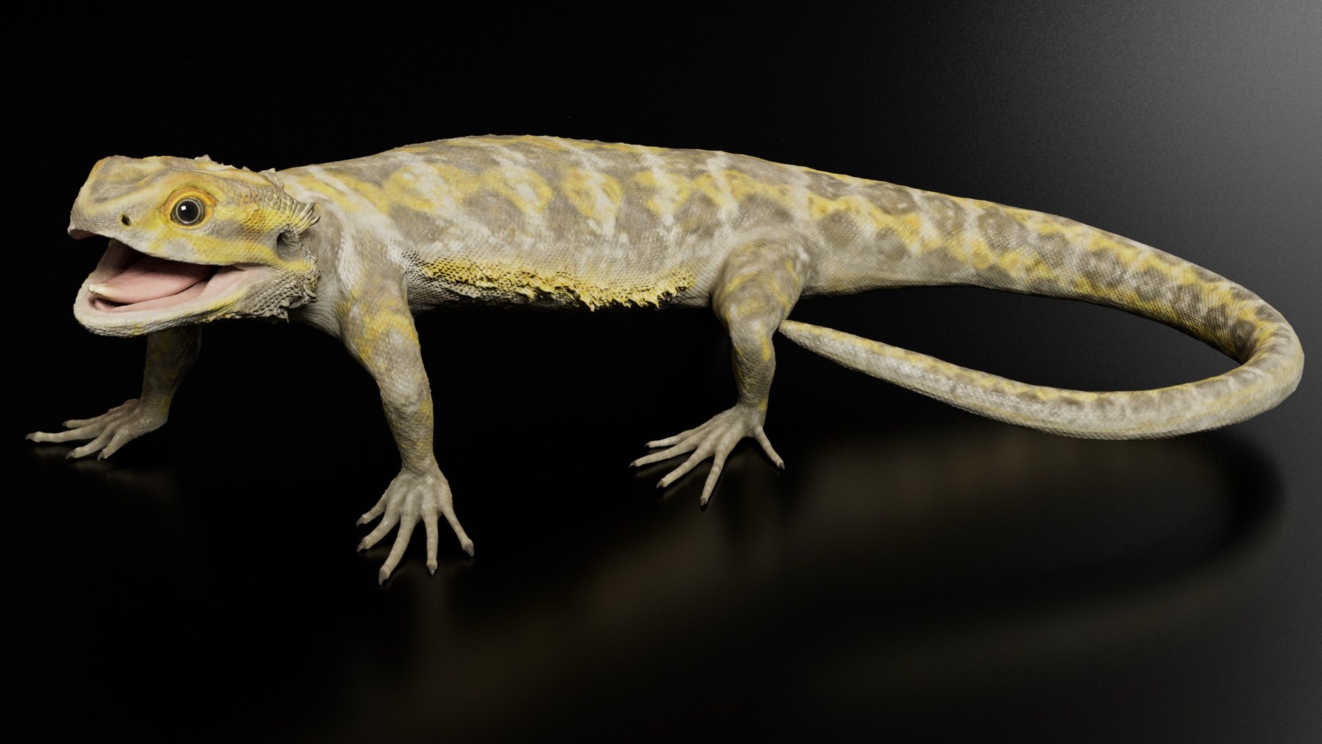 3D Bearded Dragon Rigged Animated - TurboSquid 2039643