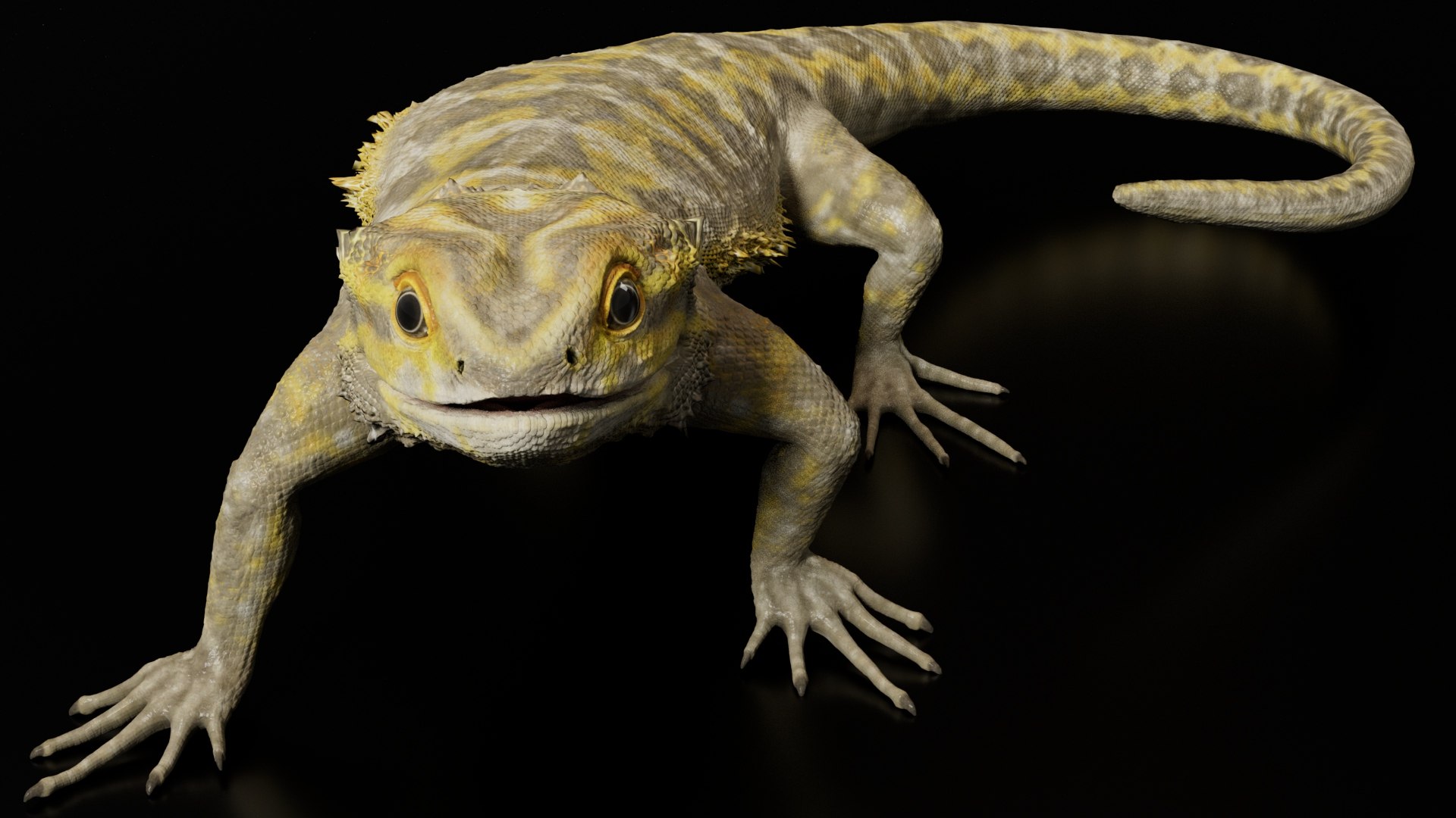 3D Bearded Dragon Rigged Animated - TurboSquid 2039643
