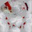 Fantail Goldfish Animation 3D - TurboSquid 1505085