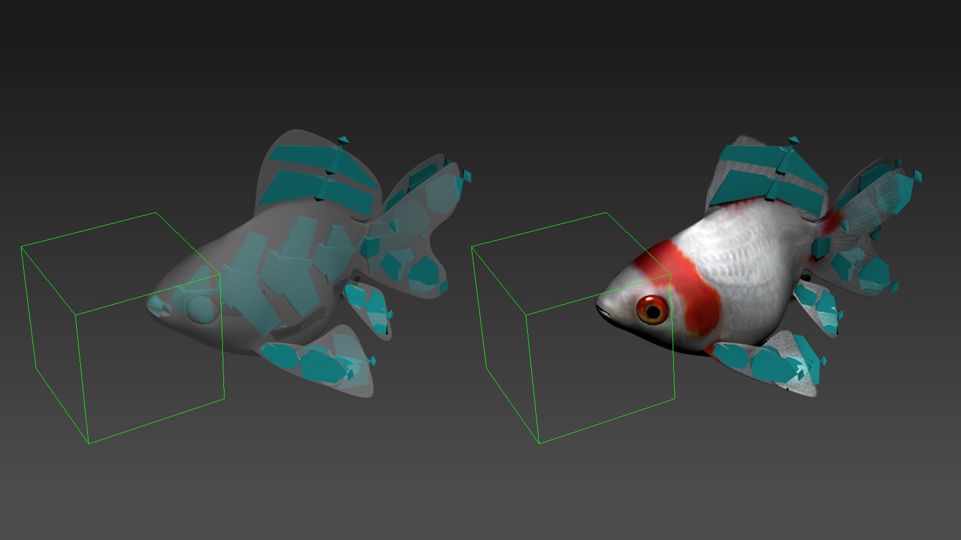 Fantail Goldfish Animation 3D - TurboSquid 1505085