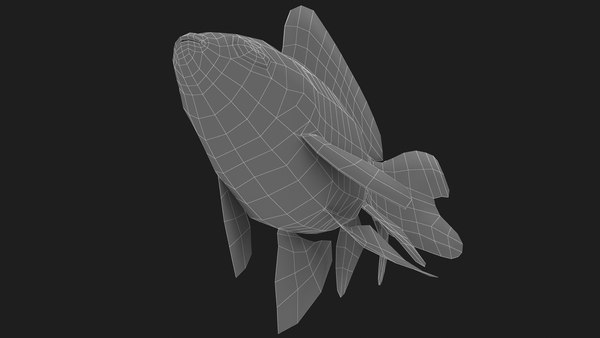 Fantail goldfish animation 3D - TurboSquid 1505085