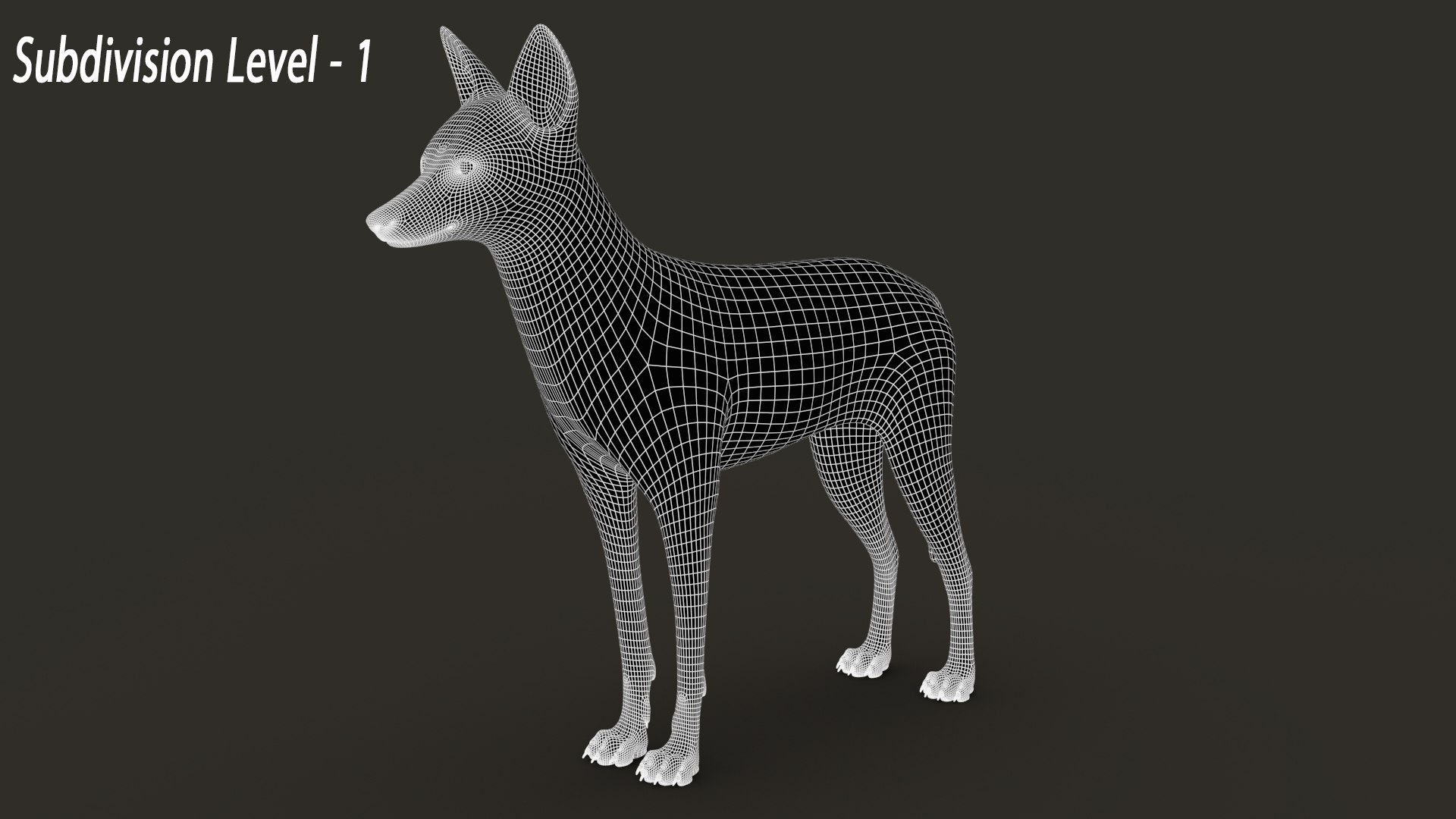 Black Backed Jackal FUR Animated 3D Model - TurboSquid 2202434
