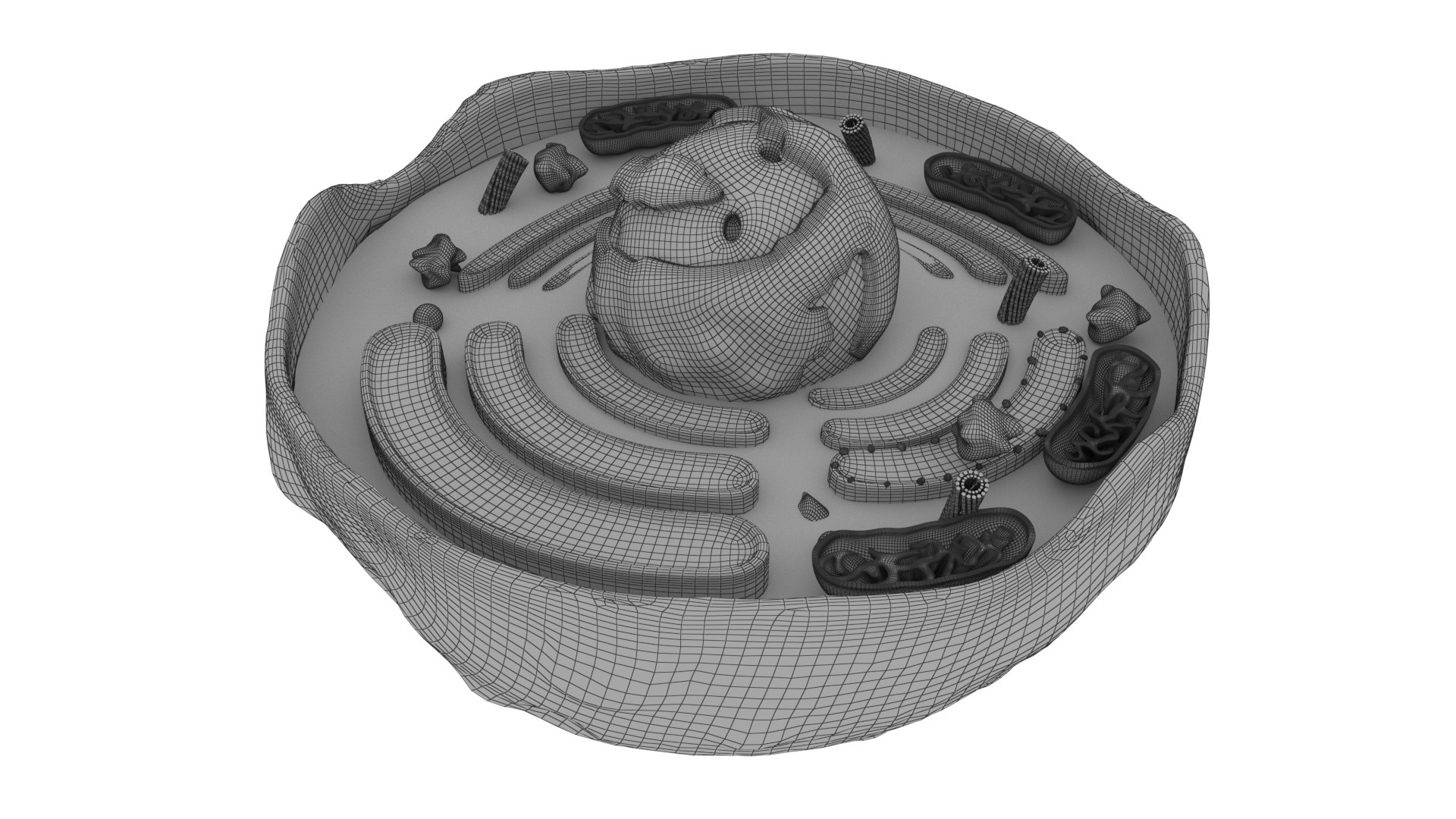 Human Cell 3D - TurboSquid 2078403