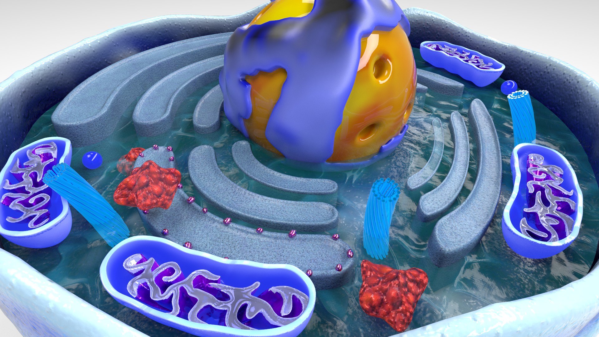 Human Cell 3D - TurboSquid 2078403