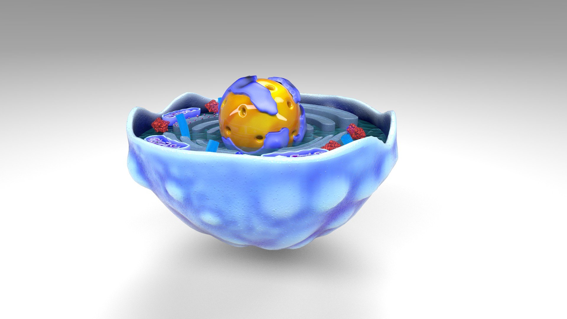 Human Cell 3D - TurboSquid 2078403