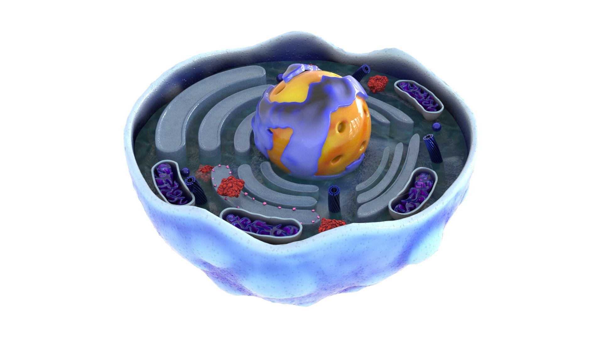 Human Cell 3D - TurboSquid 2078403