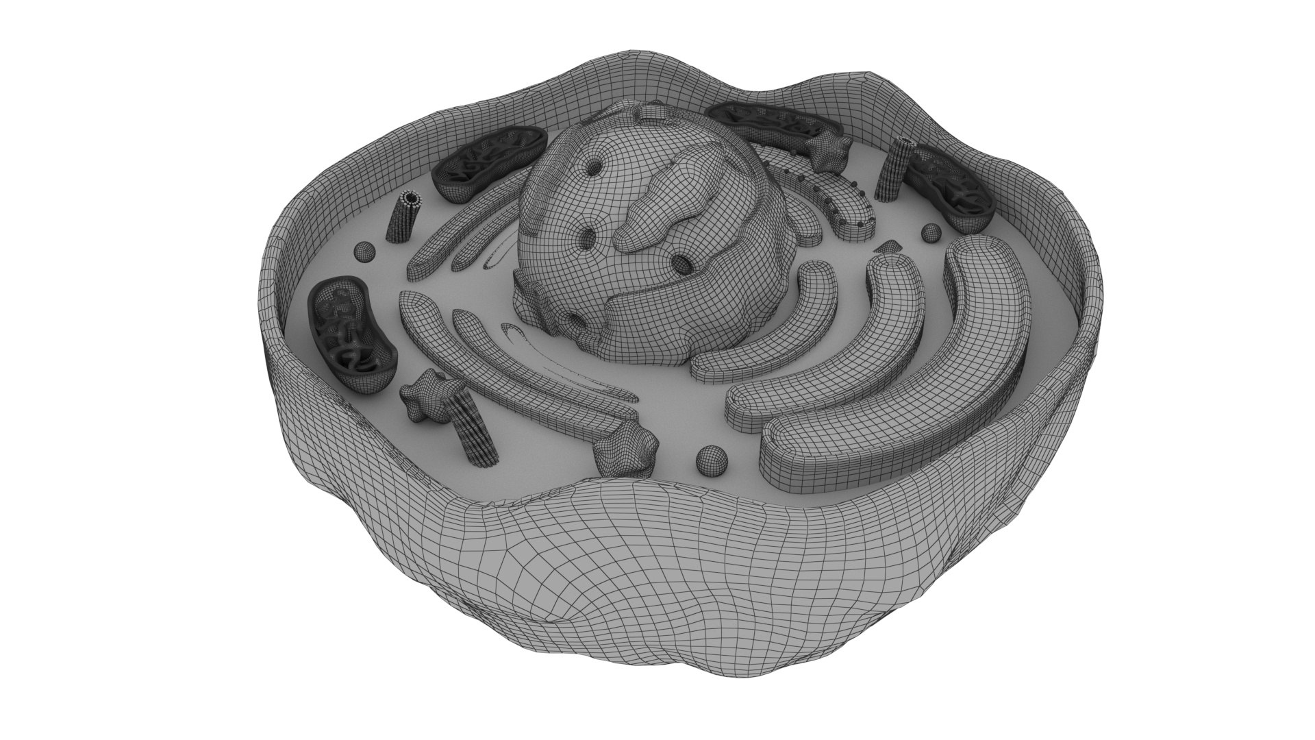 Human Cell 3D - TurboSquid 2078403