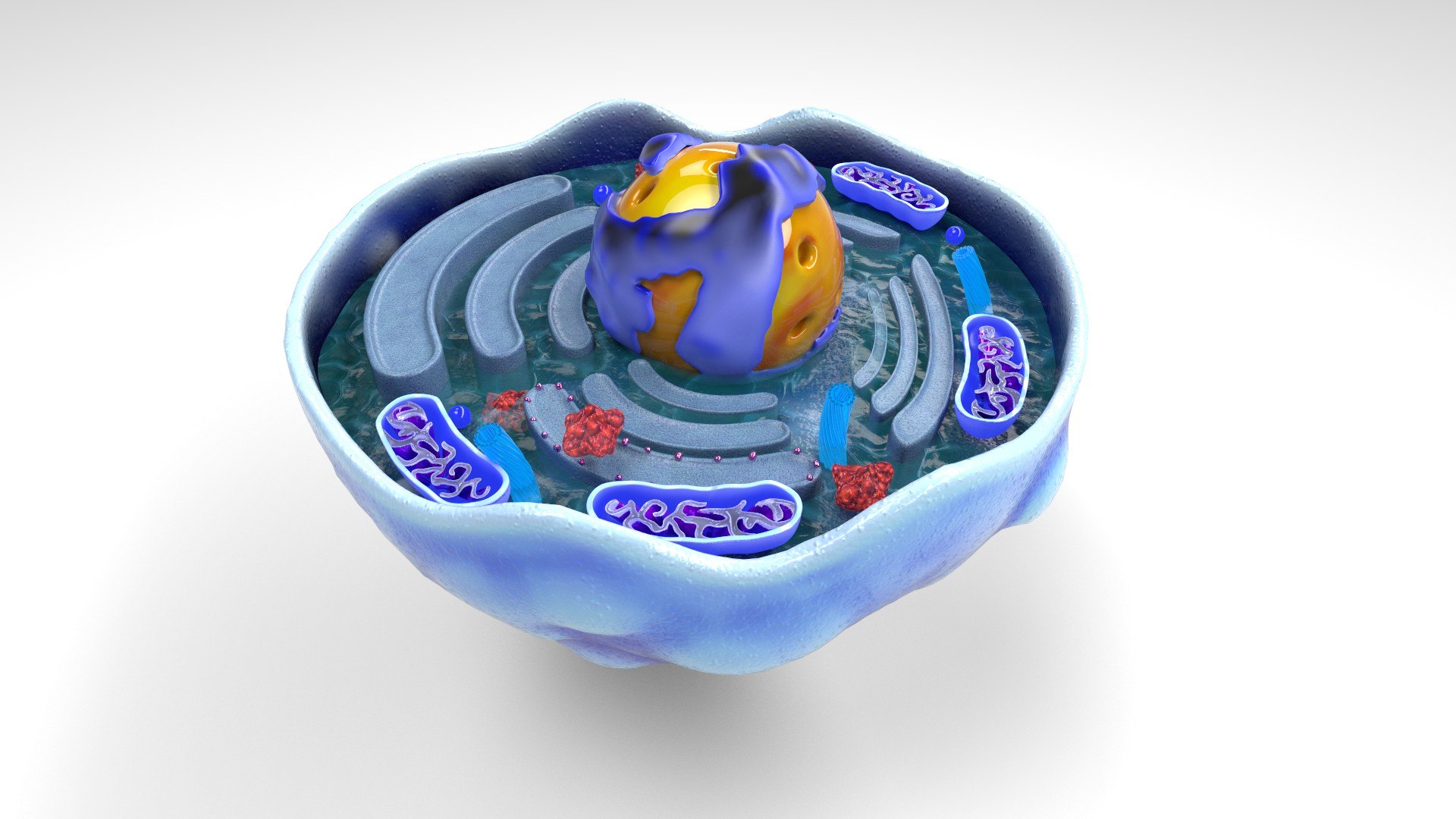 Human Cell 3D - TurboSquid 2078403