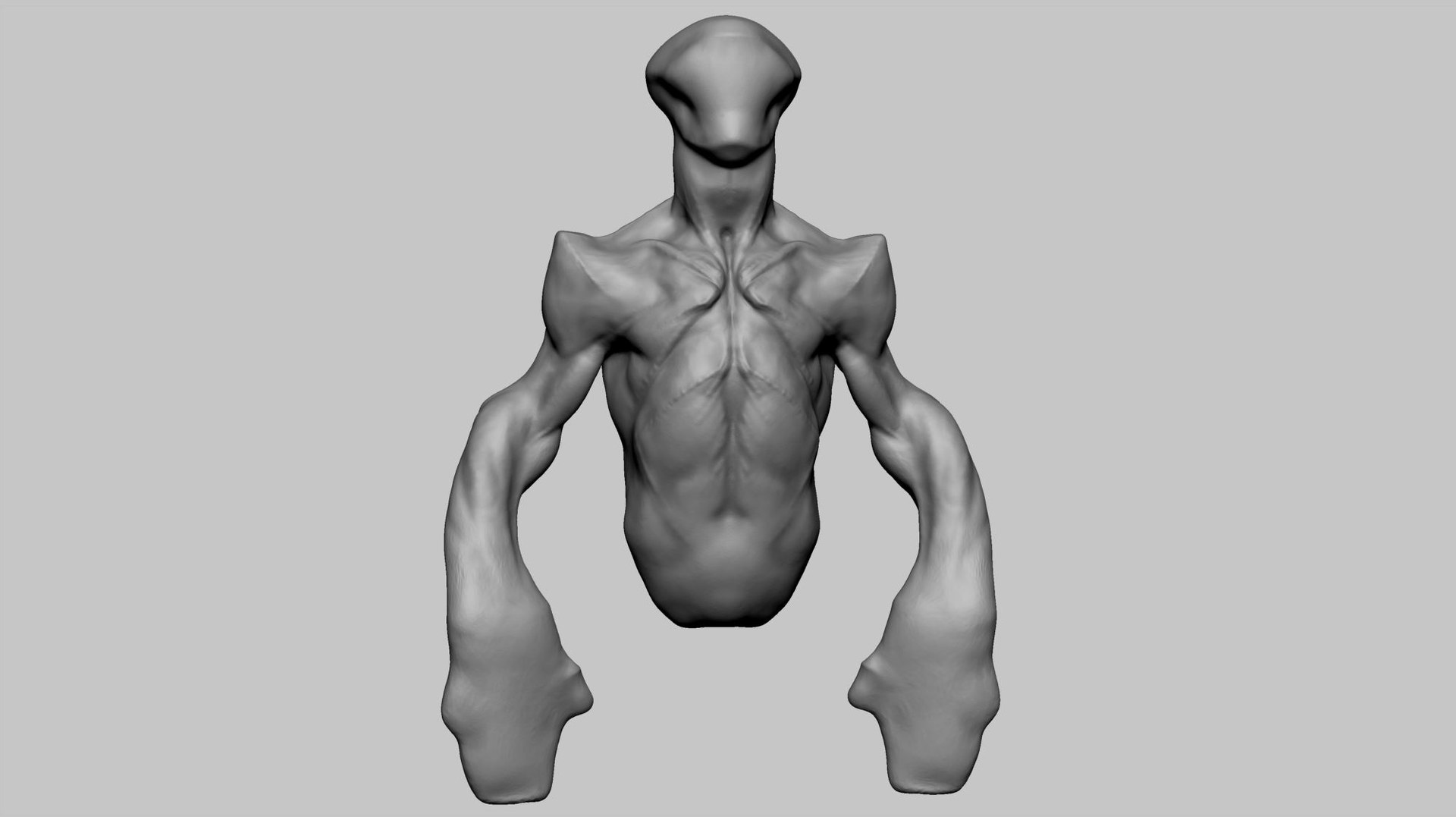 3D torso anatomy - TurboSquid 1638516
