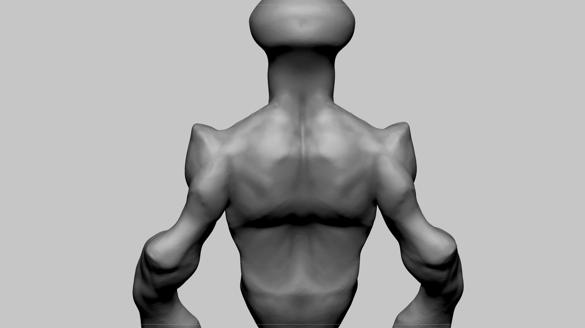 3D torso anatomy - TurboSquid 1638516