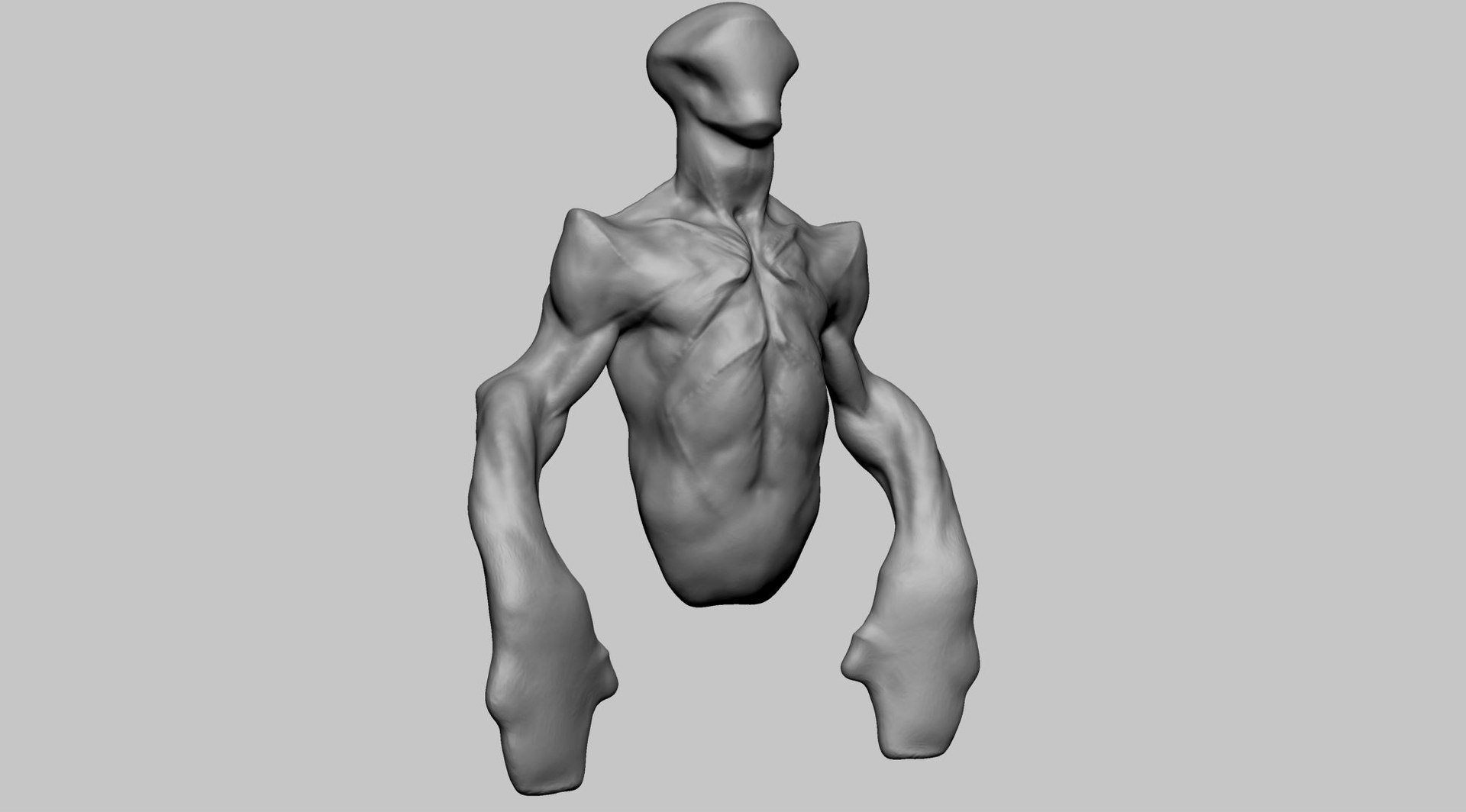 3D torso anatomy - TurboSquid 1638516