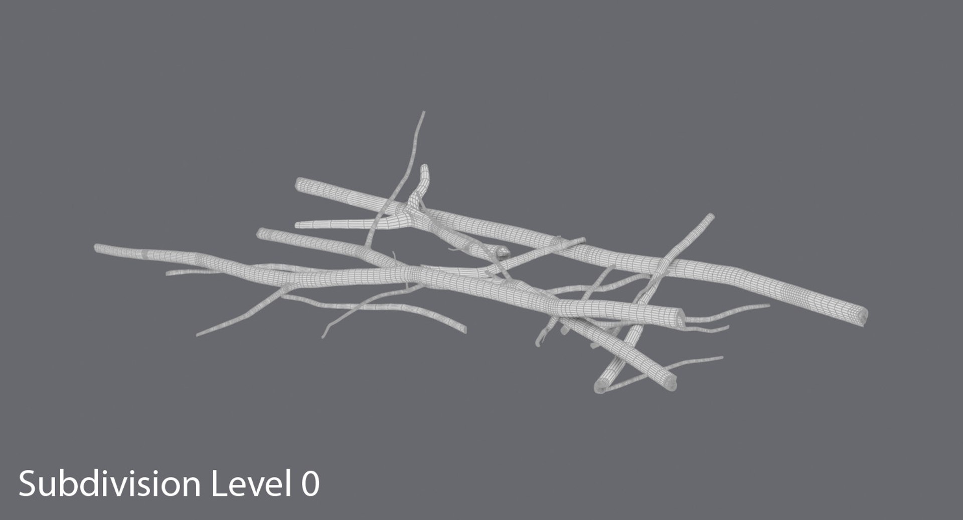 Fallen-tree-branches-02 3D Model - TurboSquid 1350047