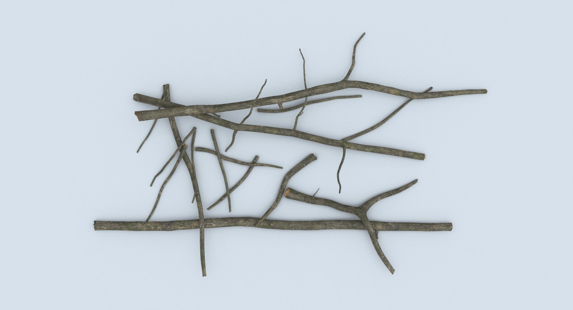 Fallen-tree-branches-02 3D Model - TurboSquid 1350047