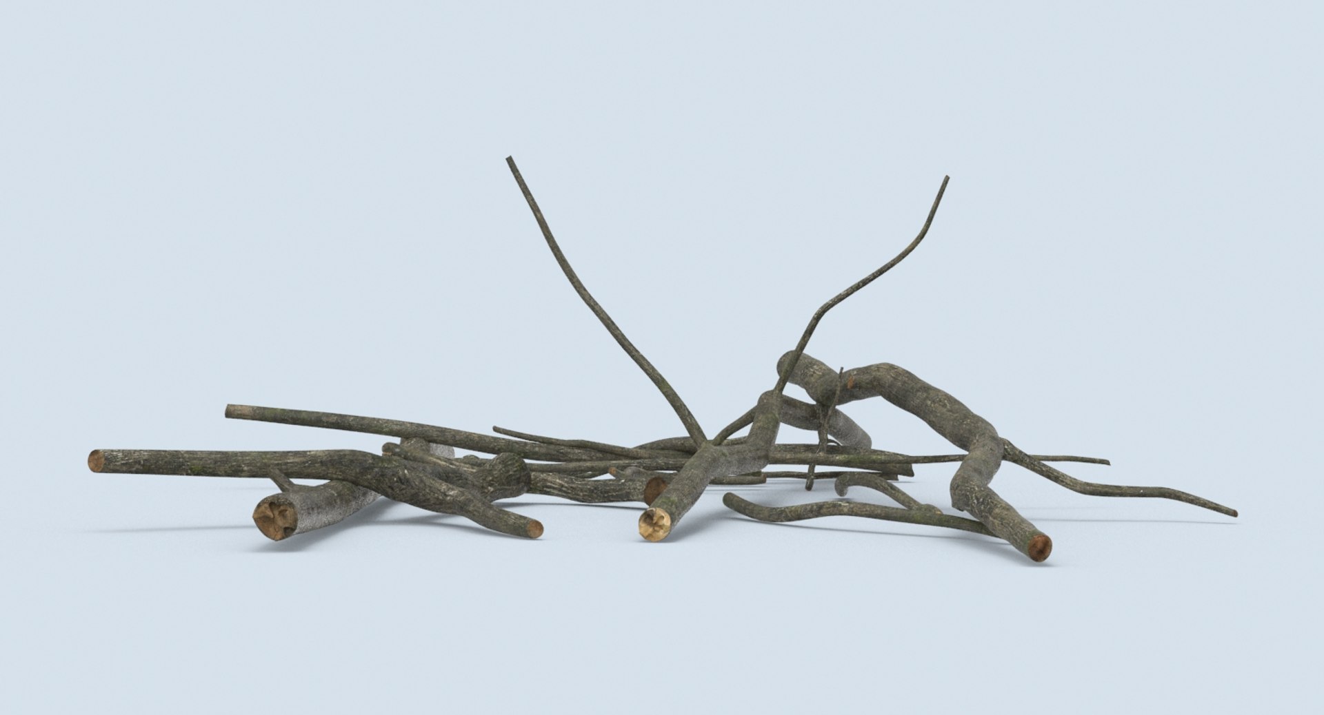 Fallen-tree-branches-02 3D Model - TurboSquid 1350047