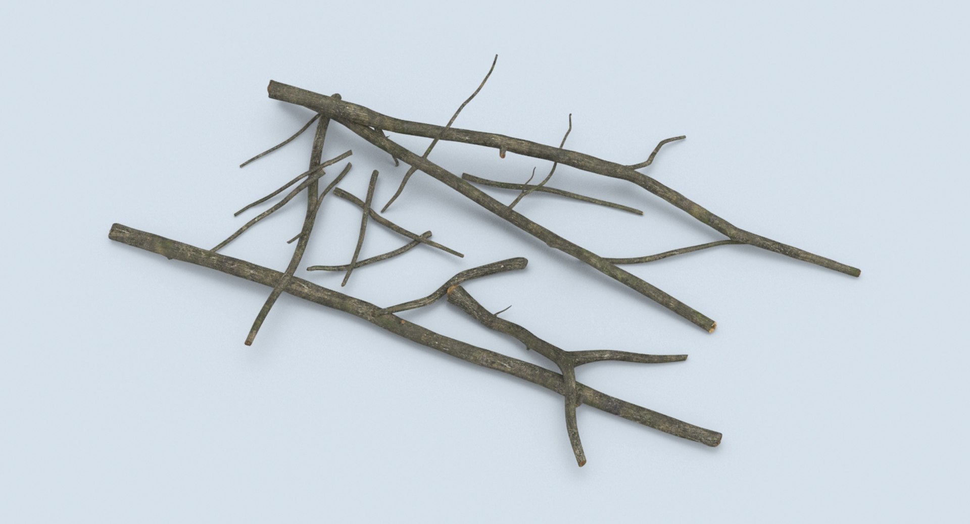 Fallen-tree-branches-02 3D Model - TurboSquid 1350047