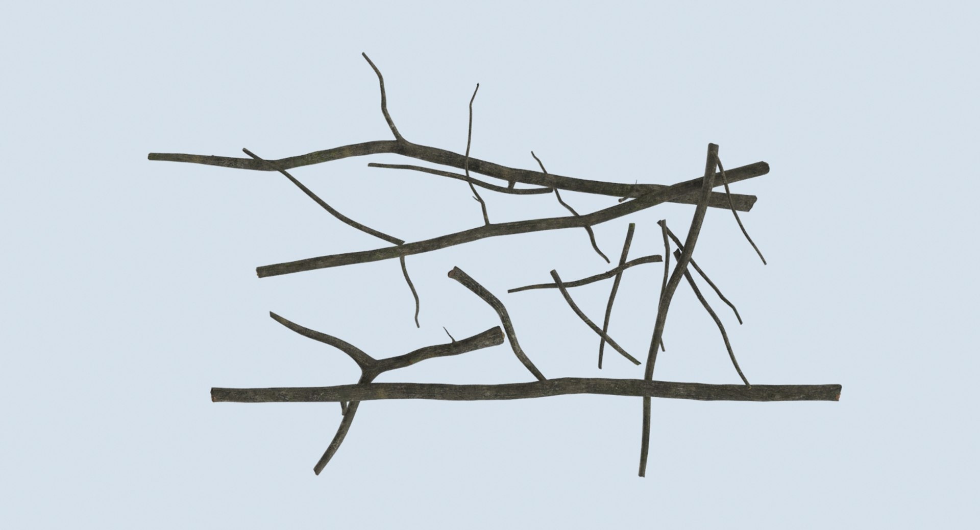 Fallen-tree-branches-02 3D Model - TurboSquid 1350047