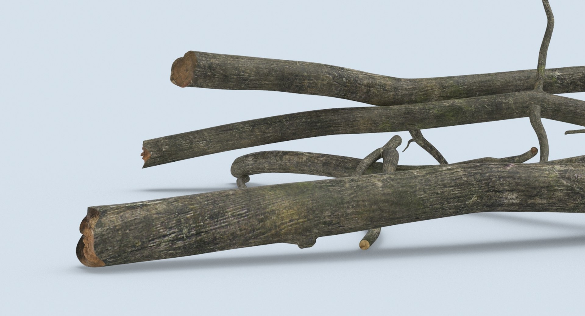 Fallen-tree-branches-02 3D Model - TurboSquid 1350047