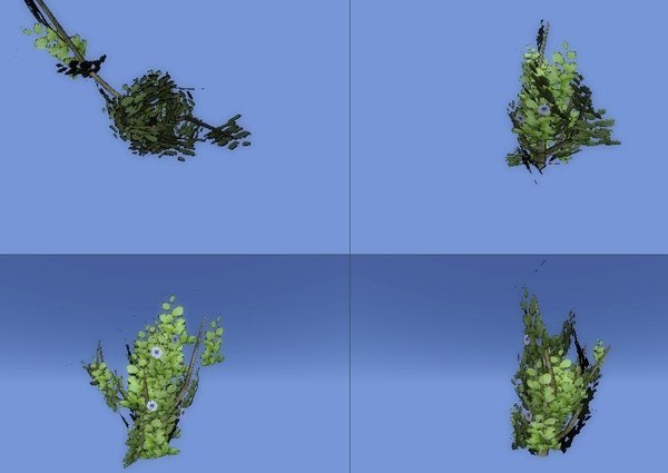Free 3D Bush Models | TurboSquid
