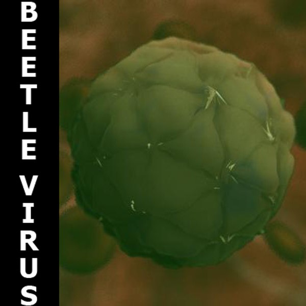 black beetle virus 3d model
