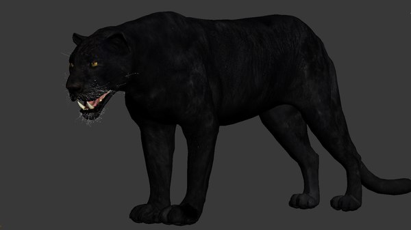 3D Panther Models | TurboSquid