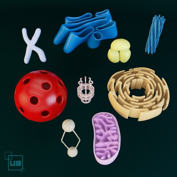 membrane cell 3d max