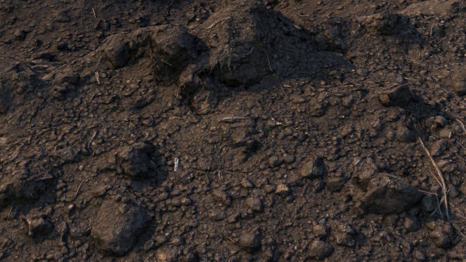 Heaps Of Black Earth 3D - TurboSquid 1919469