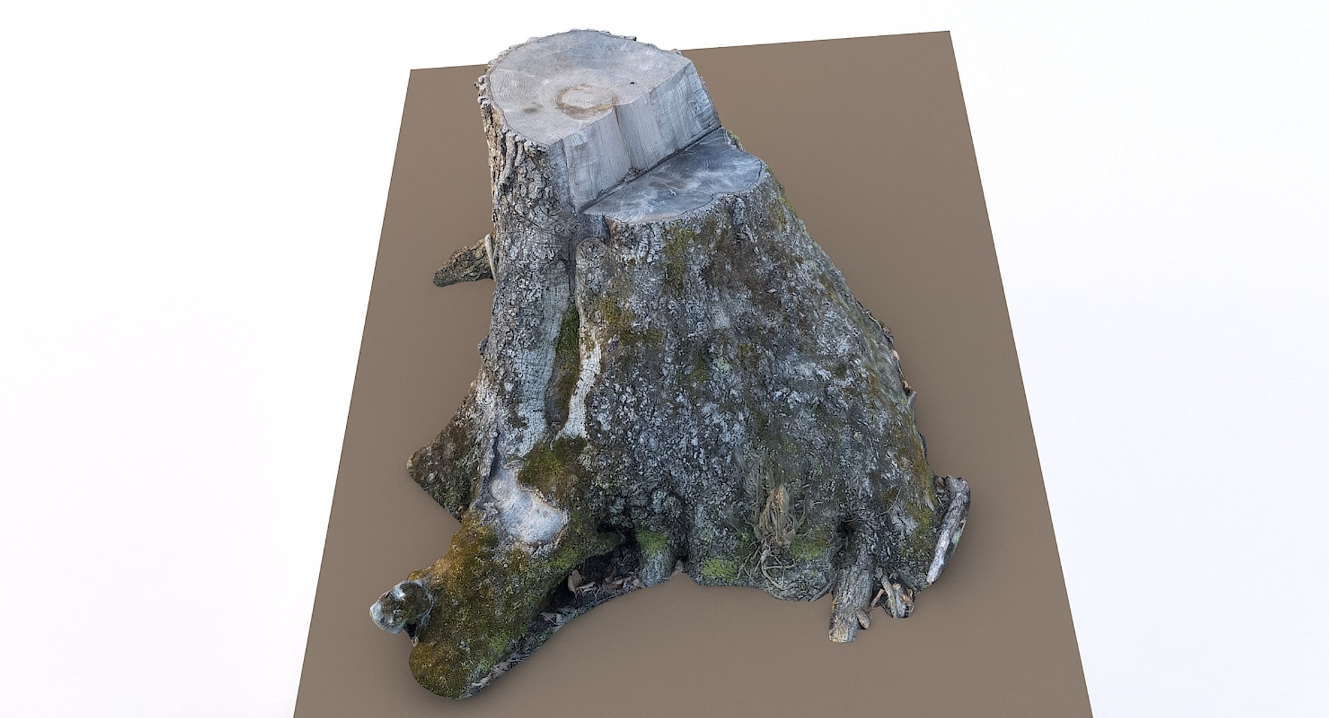 3D Scan Old Tree Stump - TurboSquid 1248200