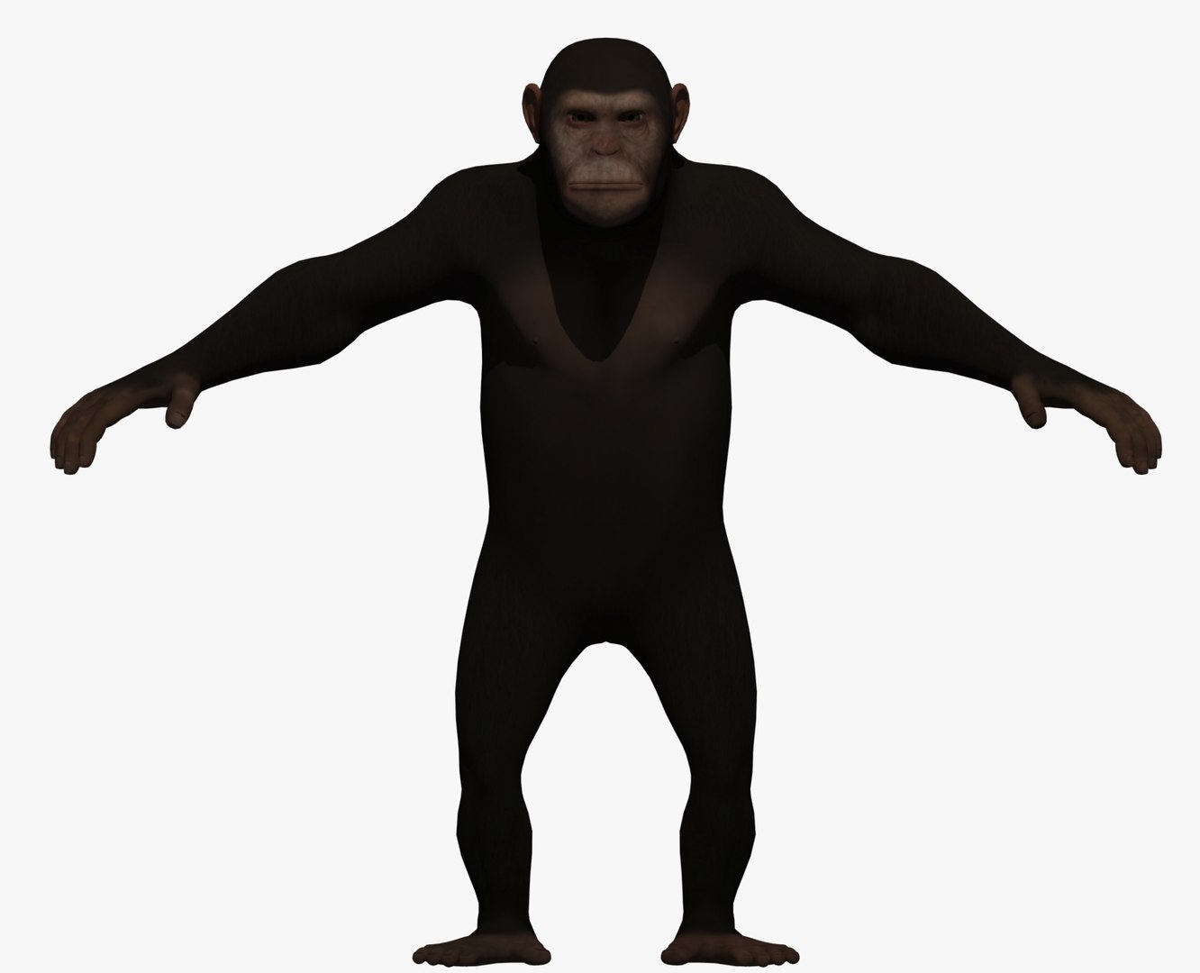 3d ape