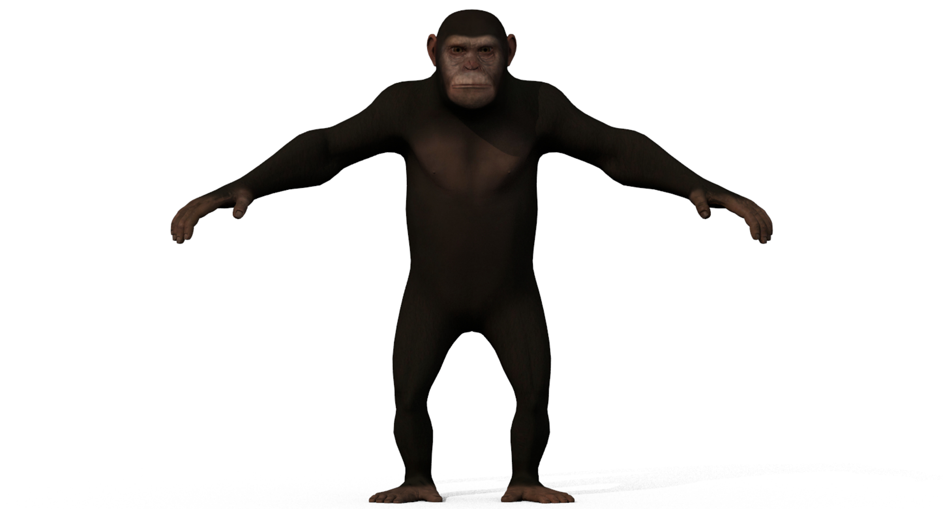 3d ape