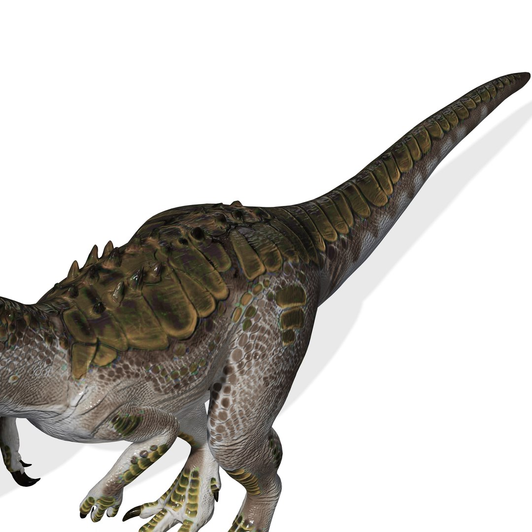 ALLOSAURUS model - TurboSquid 2138707
