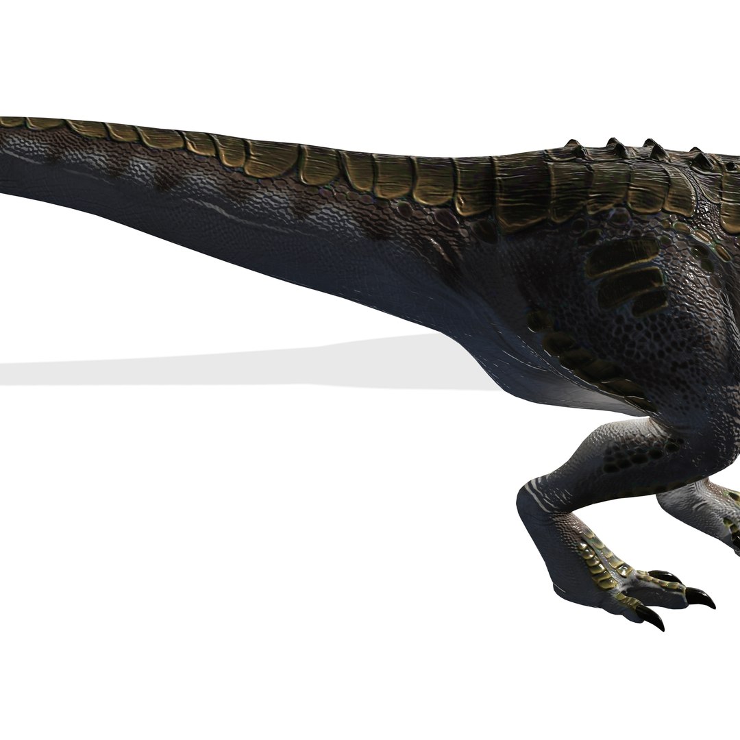 ALLOSAURUS model - TurboSquid 2138707