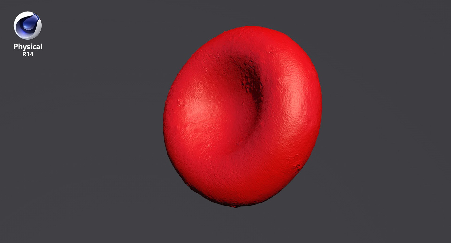 Blood cells 3D - TurboSquid 1399180
