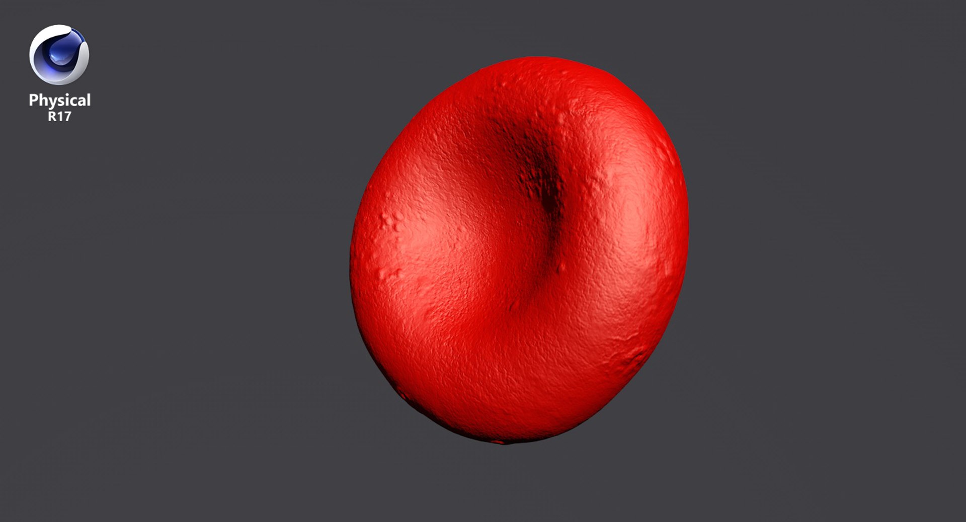 Blood cells 3D - TurboSquid 1399180