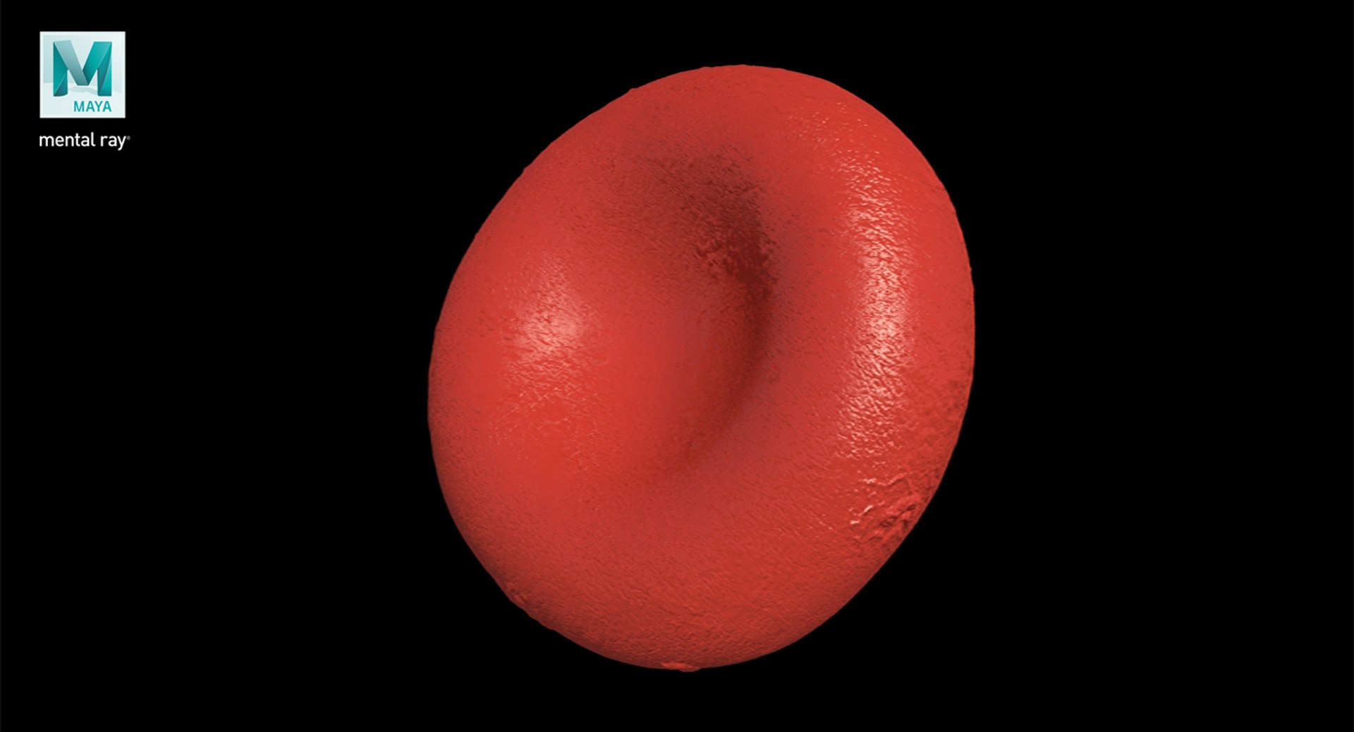 Blood cells 3D - TurboSquid 1399180