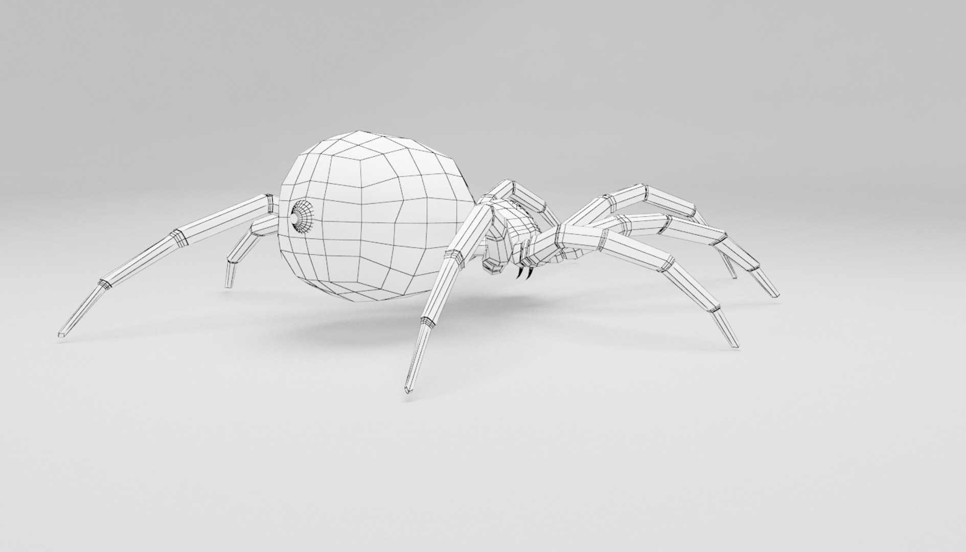 3D Wolf Spider - TurboSquid 1285549
