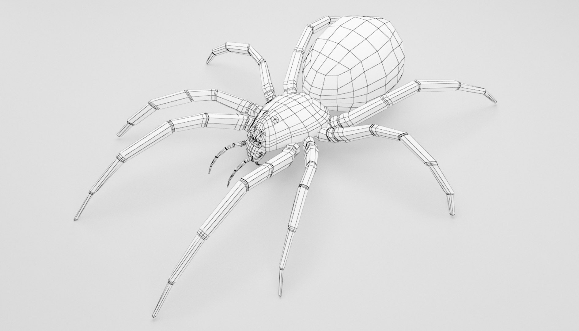 3D Wolf Spider - TurboSquid 1285549